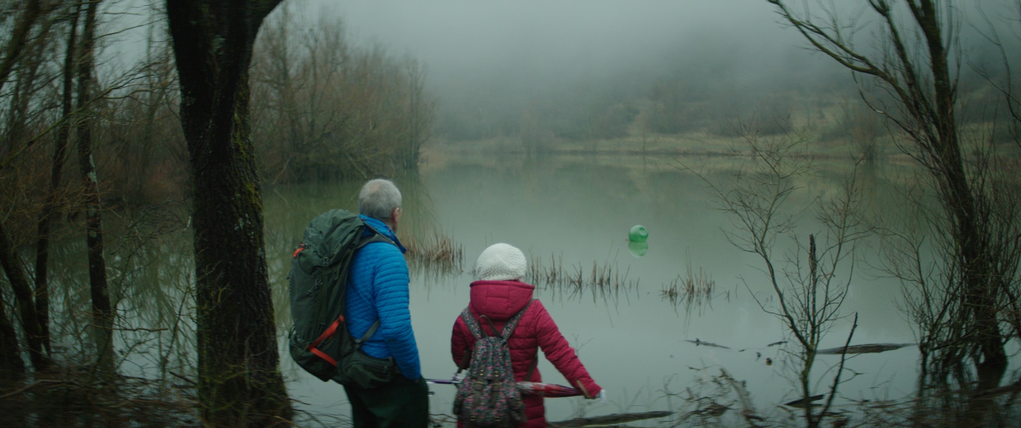 Dafne - still 1 - copyright Vivo film - gonews.it