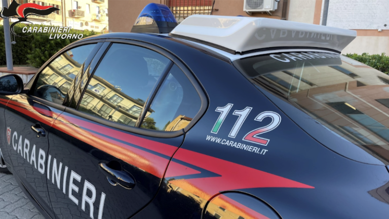 Ruba 700 euro di cartucce per stampante, identificato e denunciato dai ...