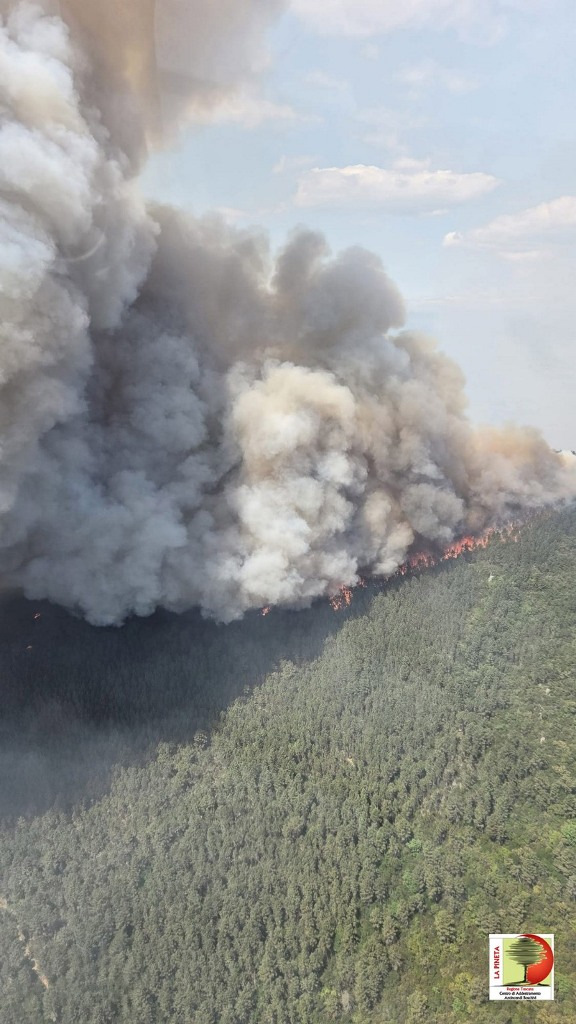 Incendio_Monte_Faeta (4) - gonews.it