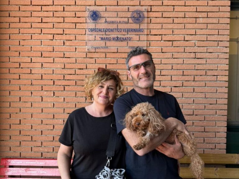 All'Università di Pisa il primo impianto di pacemaker su un cane di ...